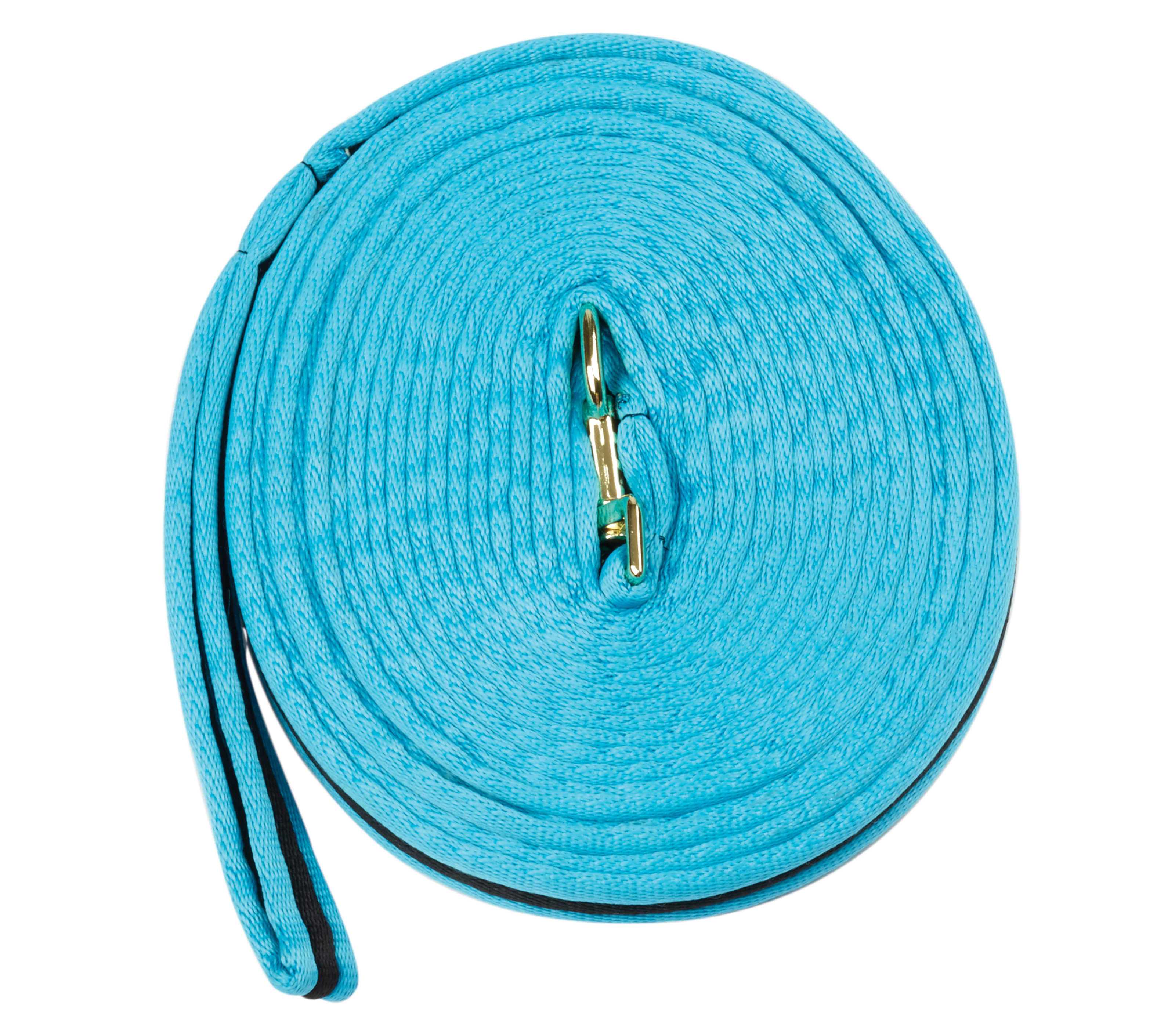 Kincade Brights Two Tone Padded Lunging Line - Aqua/Black - Kincade ...