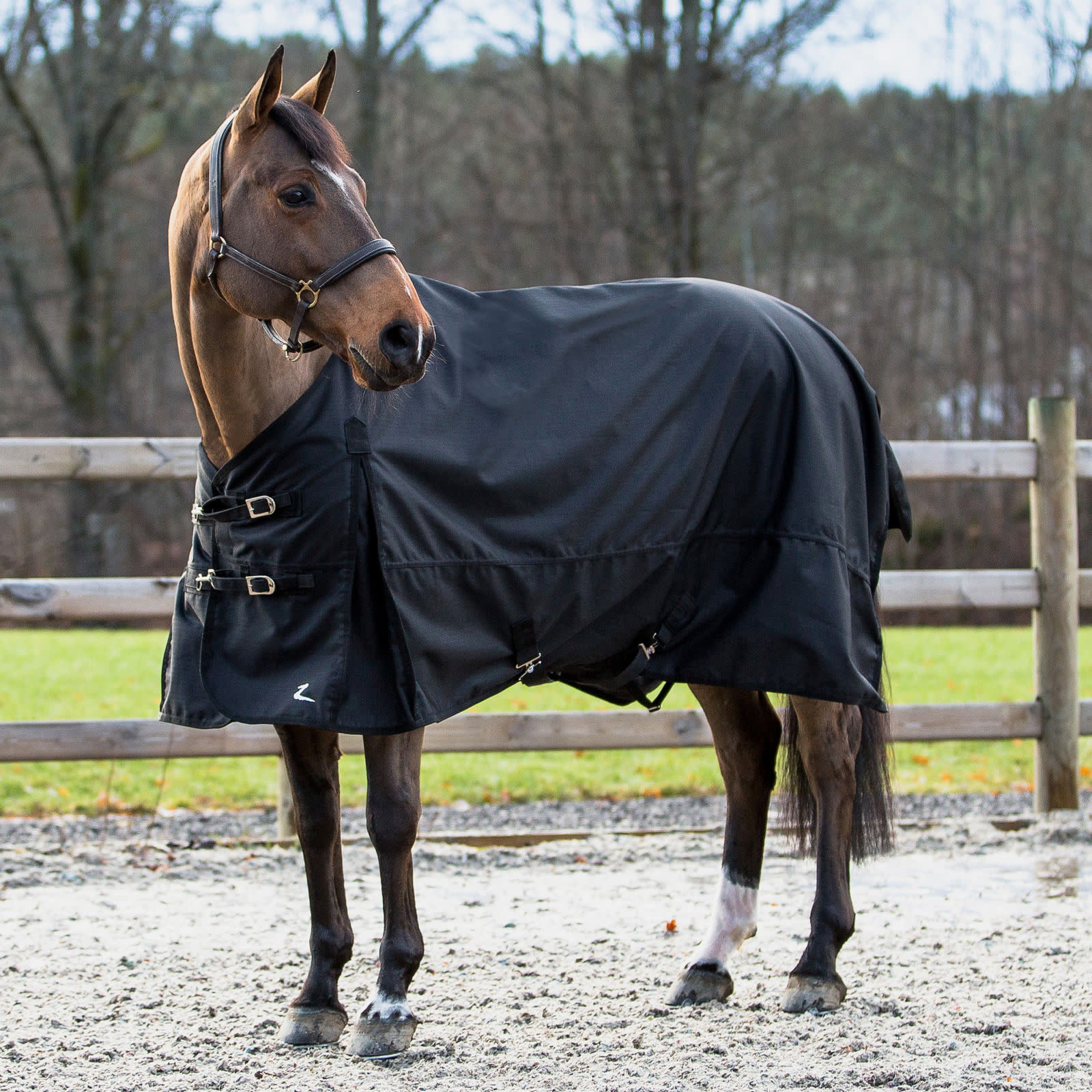 Horze Nevada 1200D Lightweight Turnout Sheet - Black - Horze-24575-BL ...