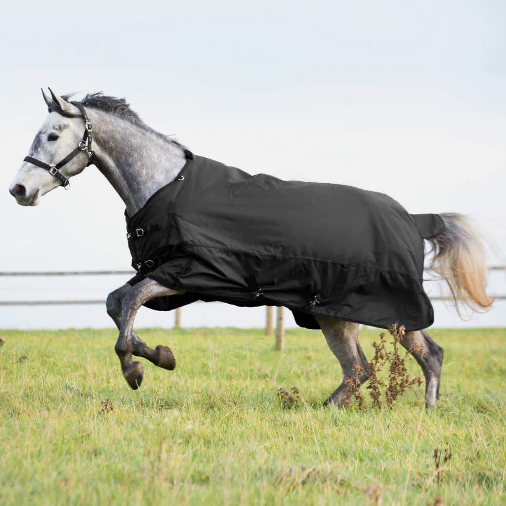 Horze Nevada Medium Weight Turnout Blanket - Black - Horze-24574-BL ...