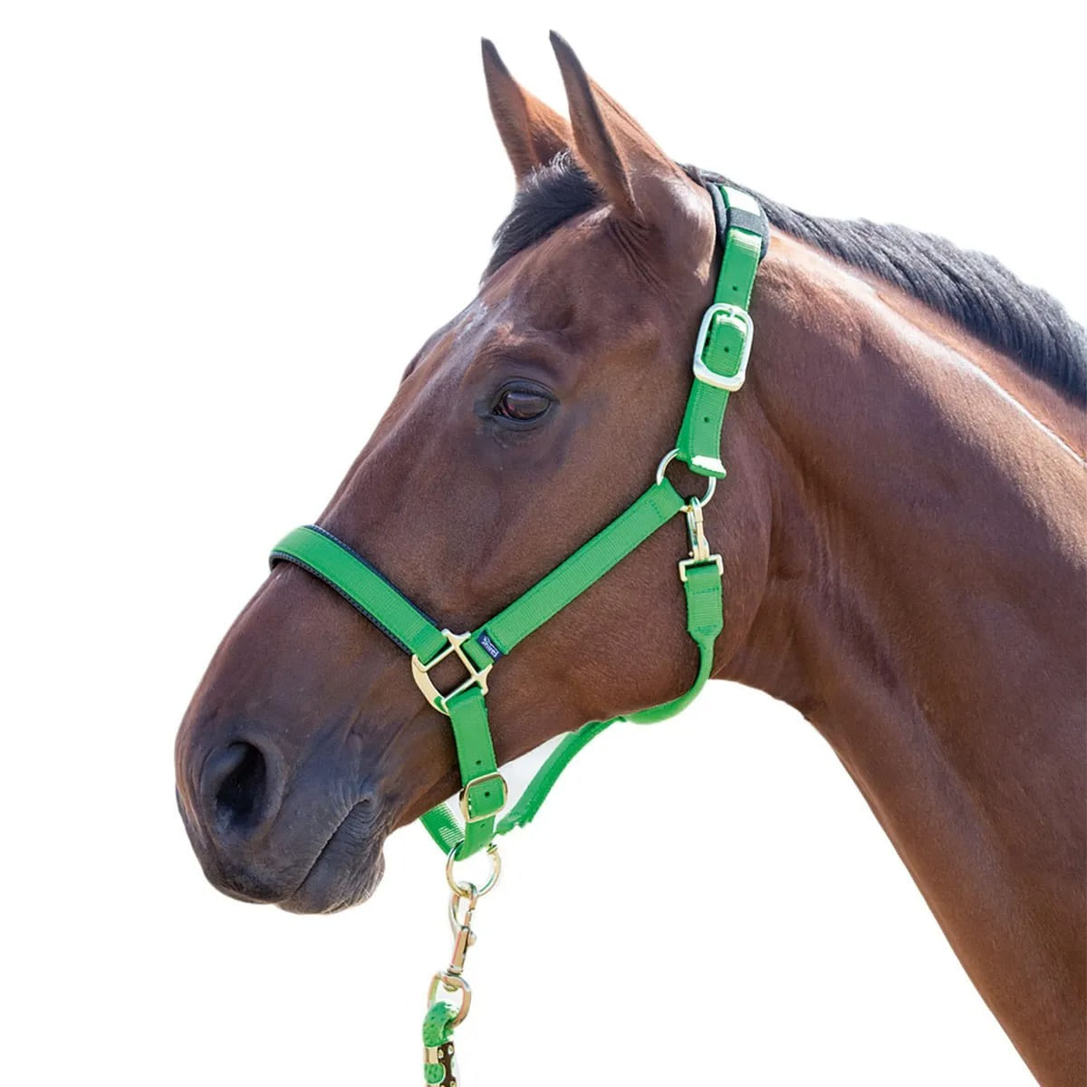 Shires Topaz Leather Breakaway Nylon Halter - Green - Shires-387L-Green ...