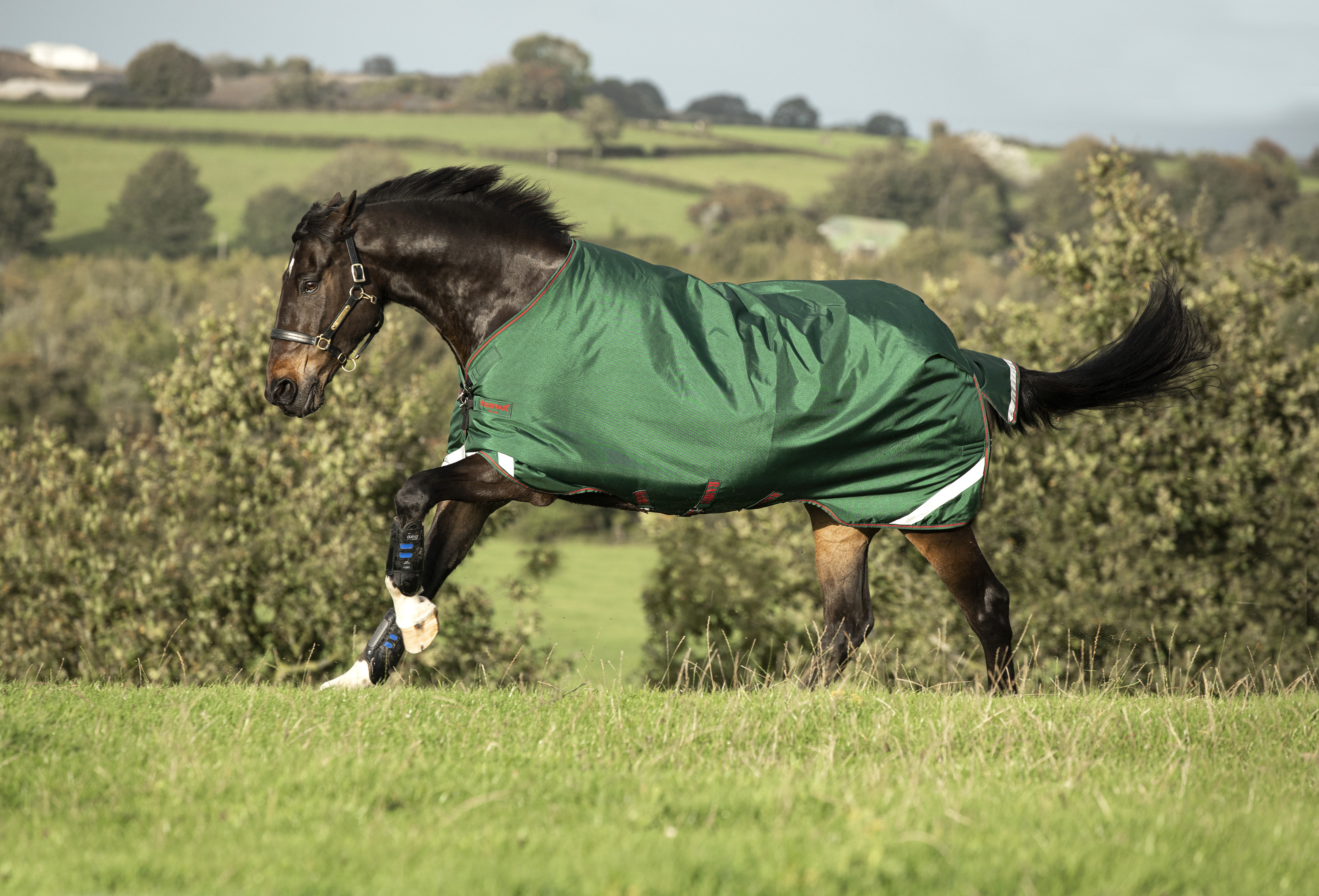 Rambo Original Turnout w/Leg Arches 100g - Green/Red - Rambo-AAAA06 ...