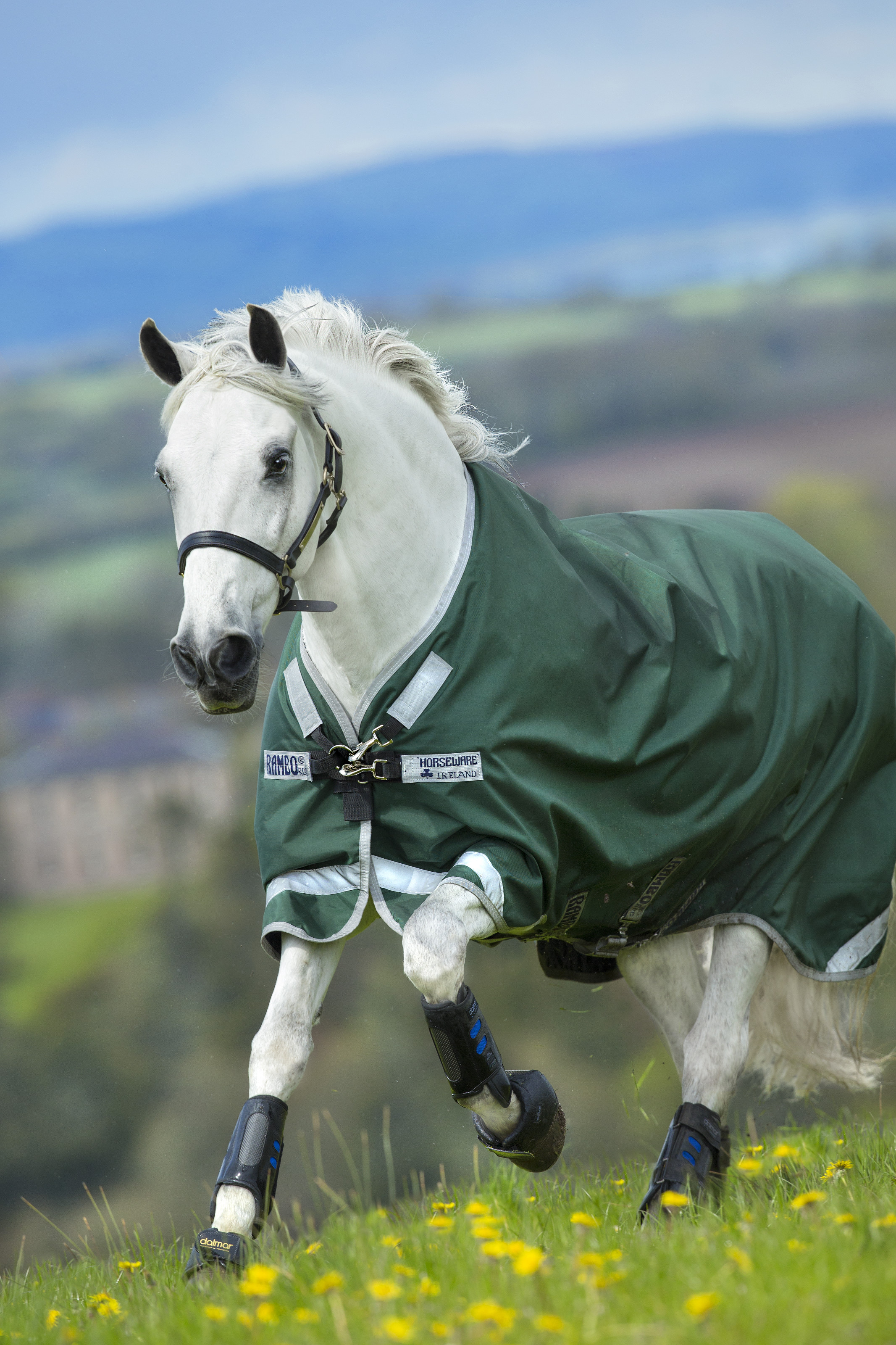 Rambo Original Turnout w/Leg Arches 0g - Green/Silver - Rambo-AAAA05 ...