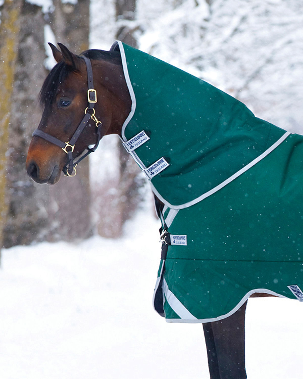 Rambo Original Hood 0g - Green/Silver - Rambo-AAAANA-GI00 - Bit of Britain