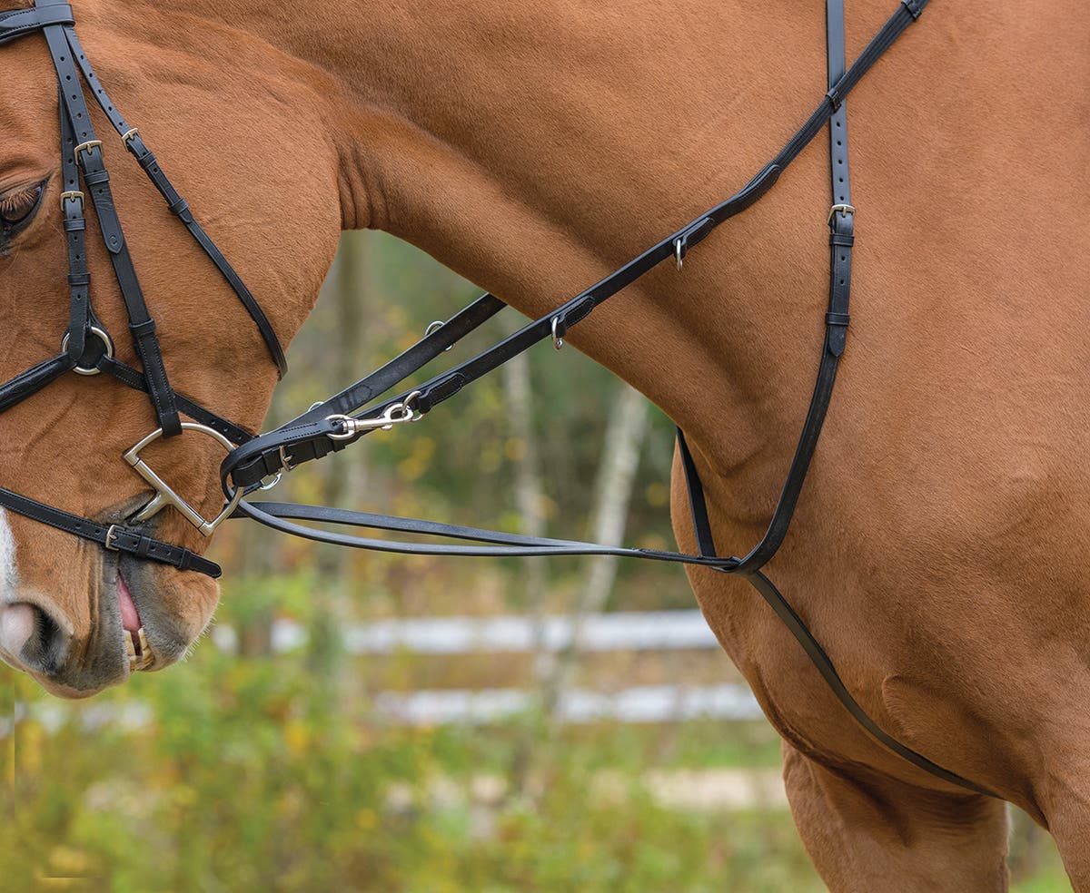 Shires Avignon German Martingale - Black - Avignon-50032-BLK - Bit of ...
