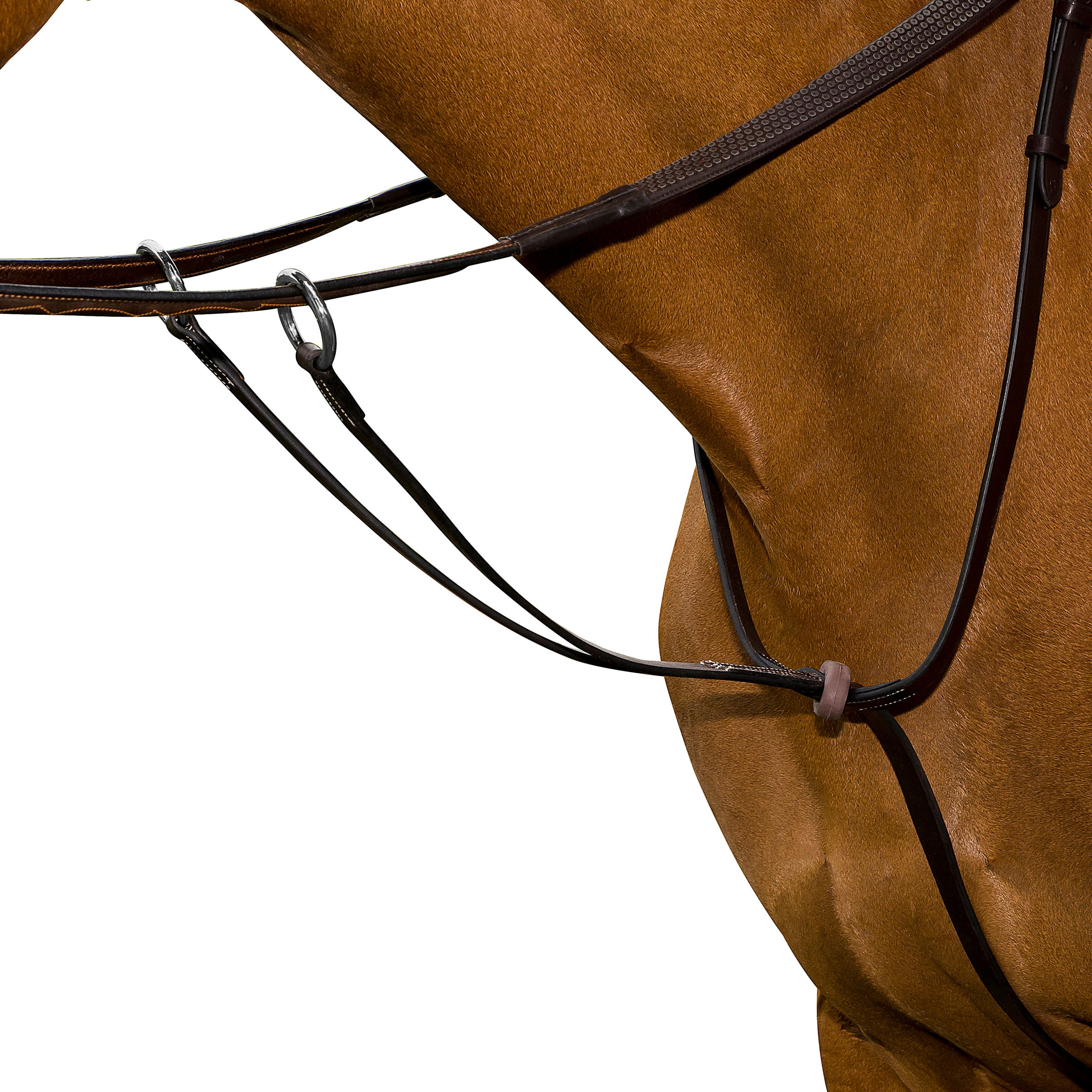 Flex Rider Flat Running Martingale - Chocolate - Flex Rider-3042 ...