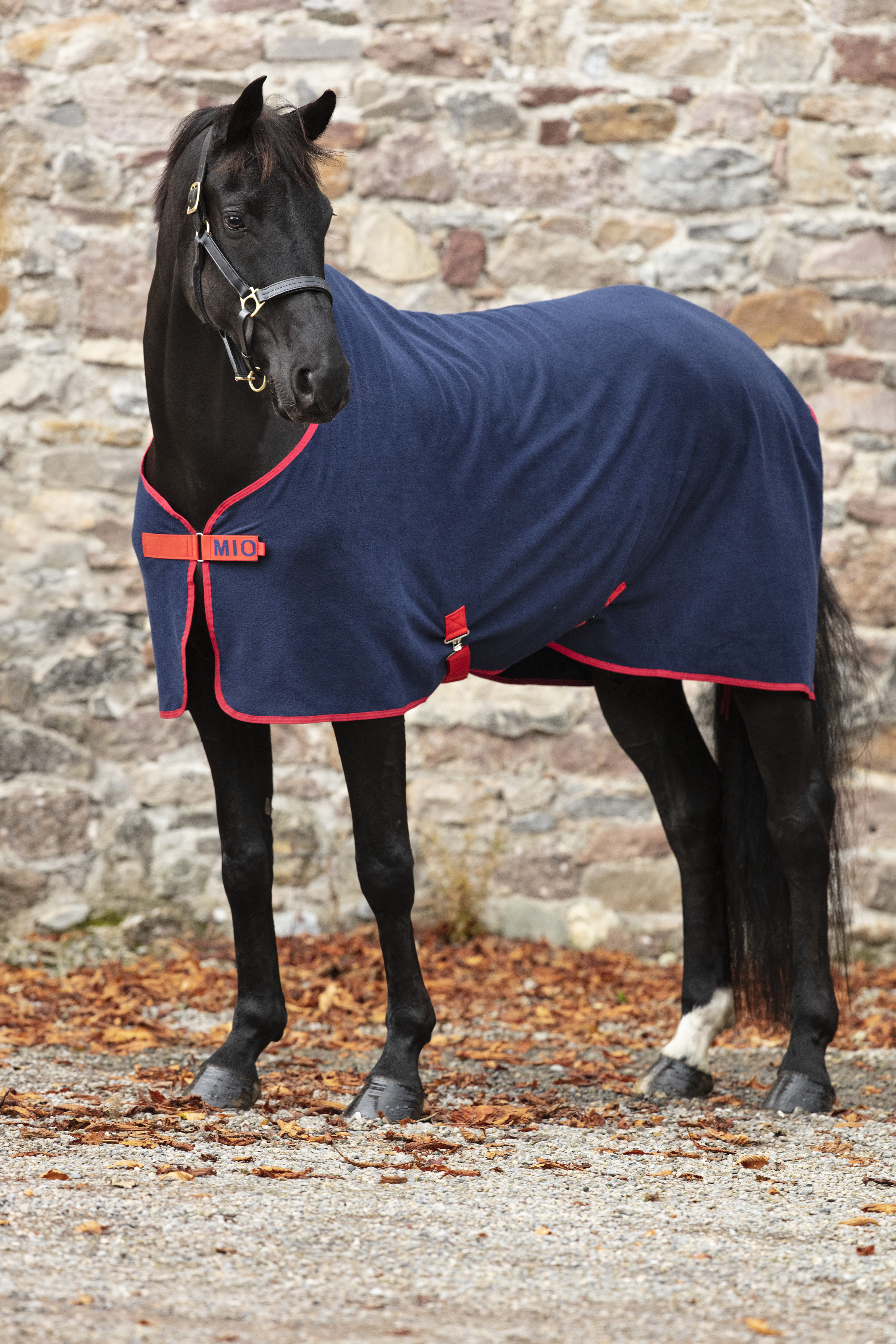 Mio Fleece Cooler - Navy/Red - Mio-ACSF24-BR00 - Bit of Britain