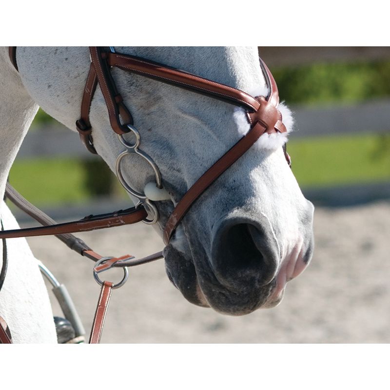 Happy Mouth Bits Double Jointed Roller 2-Ring Gag - Happy Mouth Bits ...