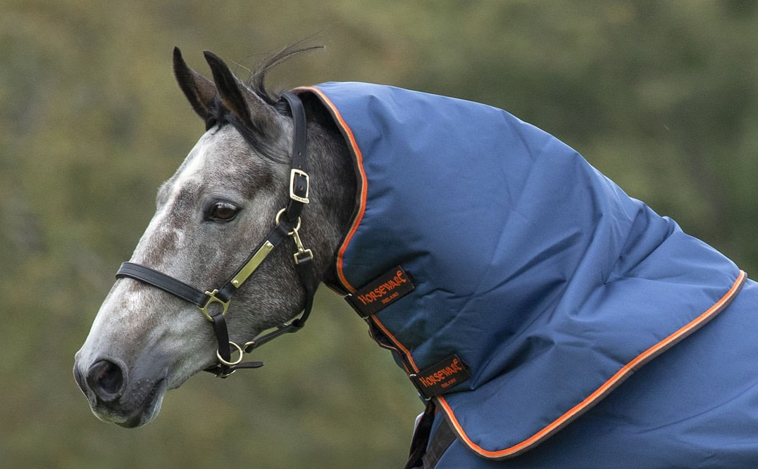 Rambo Duo Hood 50g - Denim/Orange/Tan/Brown - Rambo-AAADNA-CSMN - Bit of Britain