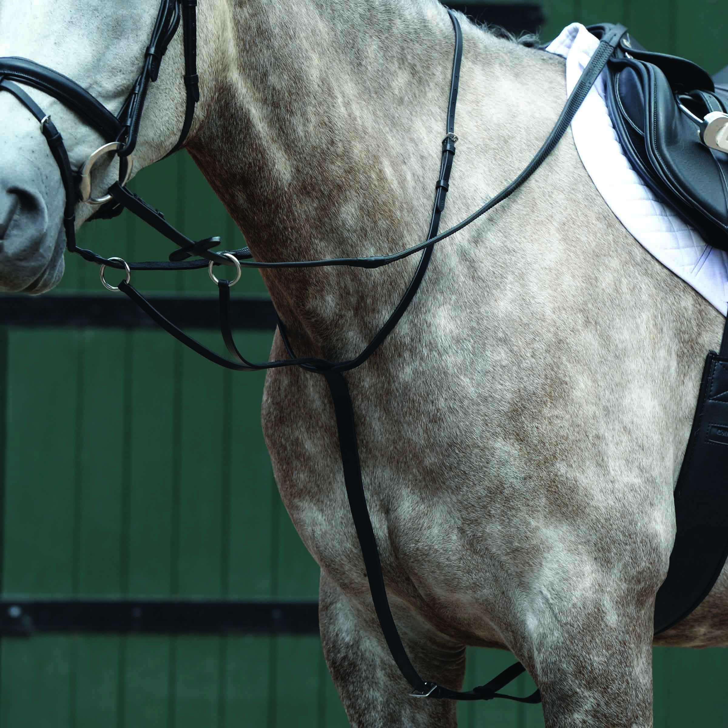 Collegiate Essential Plain Flat Running Martingale - Black - Collegiate ...