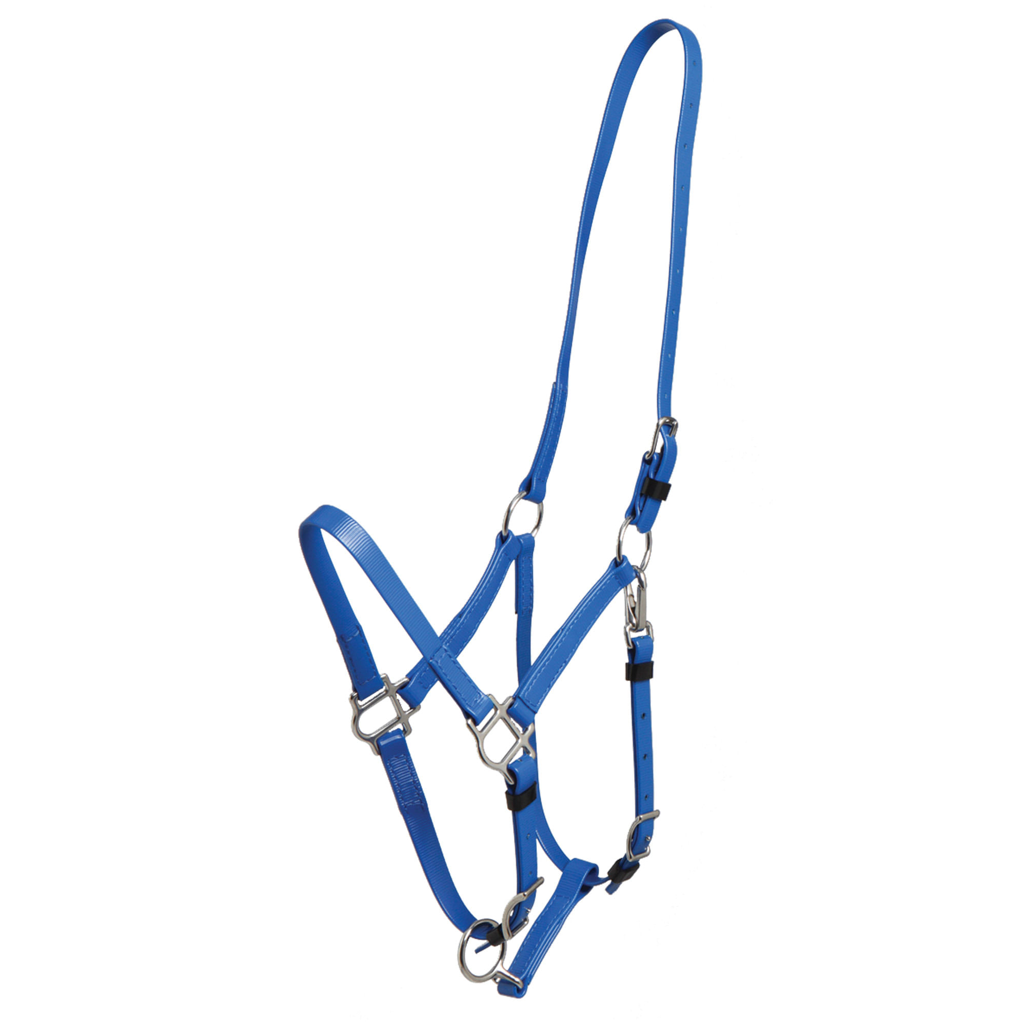 Zilco Deluxe Endurance Bridle/Halter Cavesson Only - Royal Blue - Zilco ...