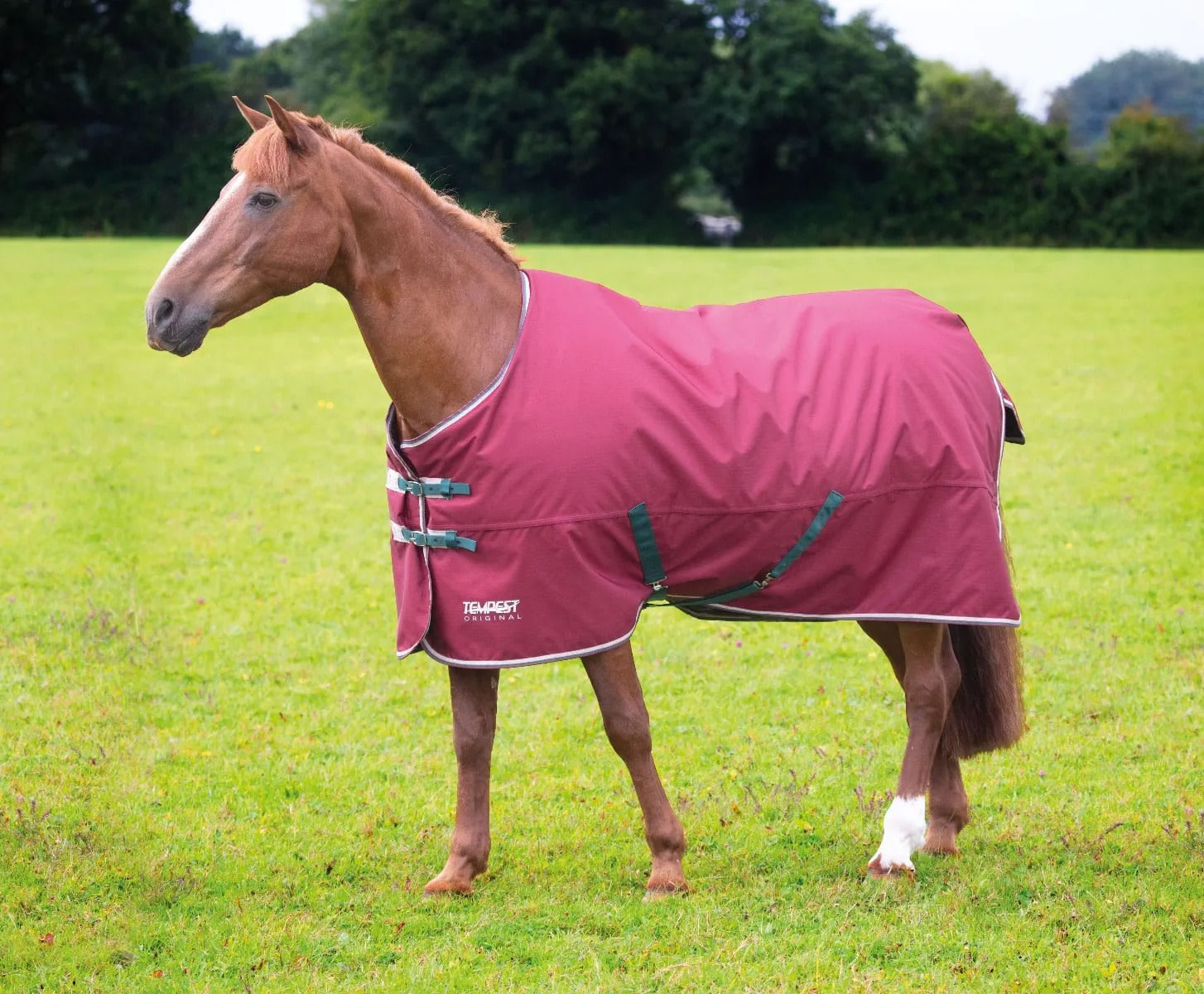 Shires Tempest Original 200 Turnout - Maroon - Tempest-93310-MAR - Bit ...