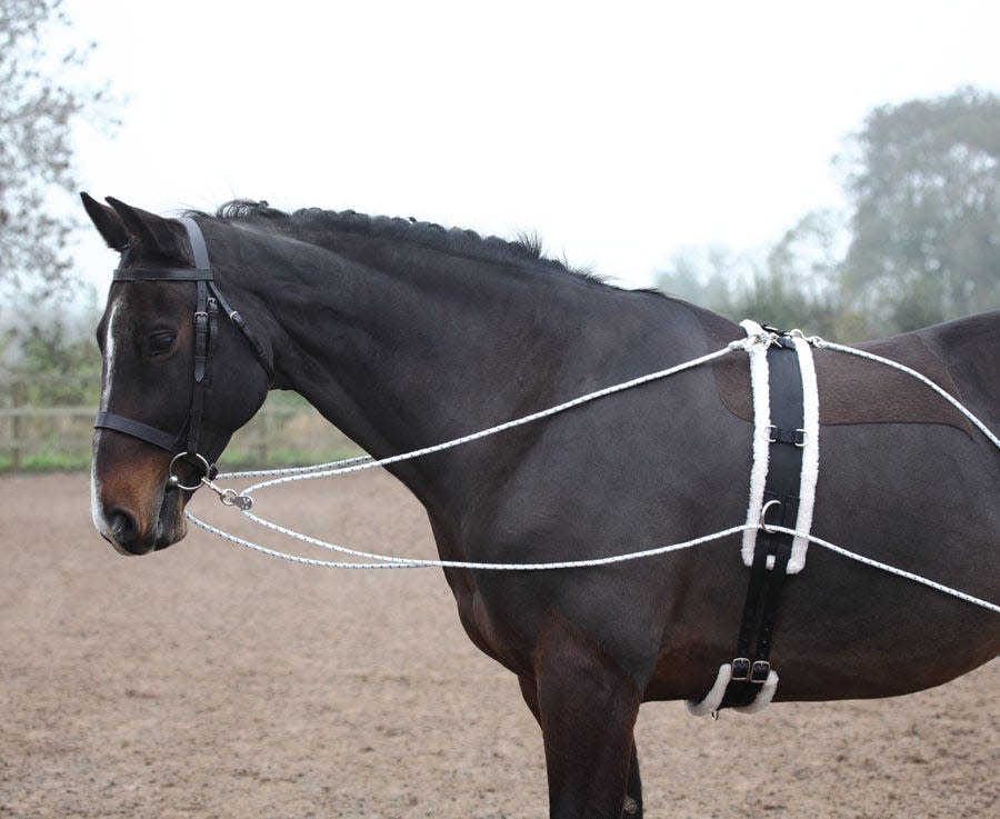 Shires Lunging Aid - Black - Shires-435-BLK - Bit of Britain