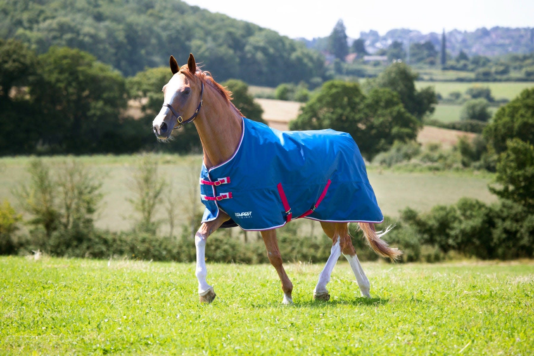 Shires Tempest Original Lite Turnout - Teal - Tempest-93300-TEAL - Bit ...