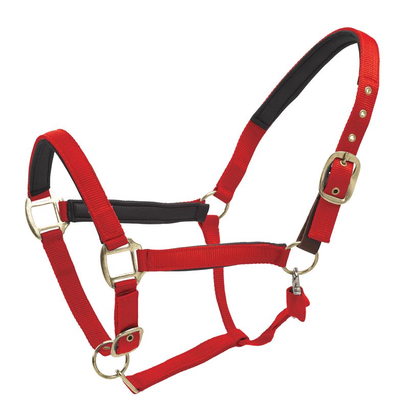 Centaur Super Comfort Halter - Red - Centaur-461032-Red - Bit of Britain