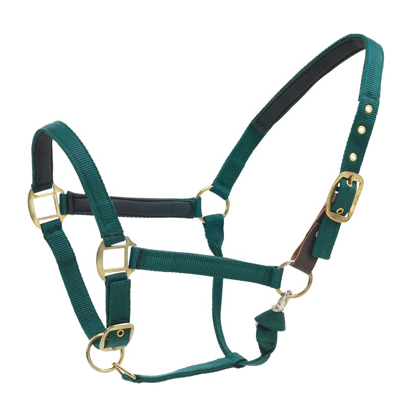 Centaur Super Comfort Halter - Green - Centaur-461032-Green - Bit of ...