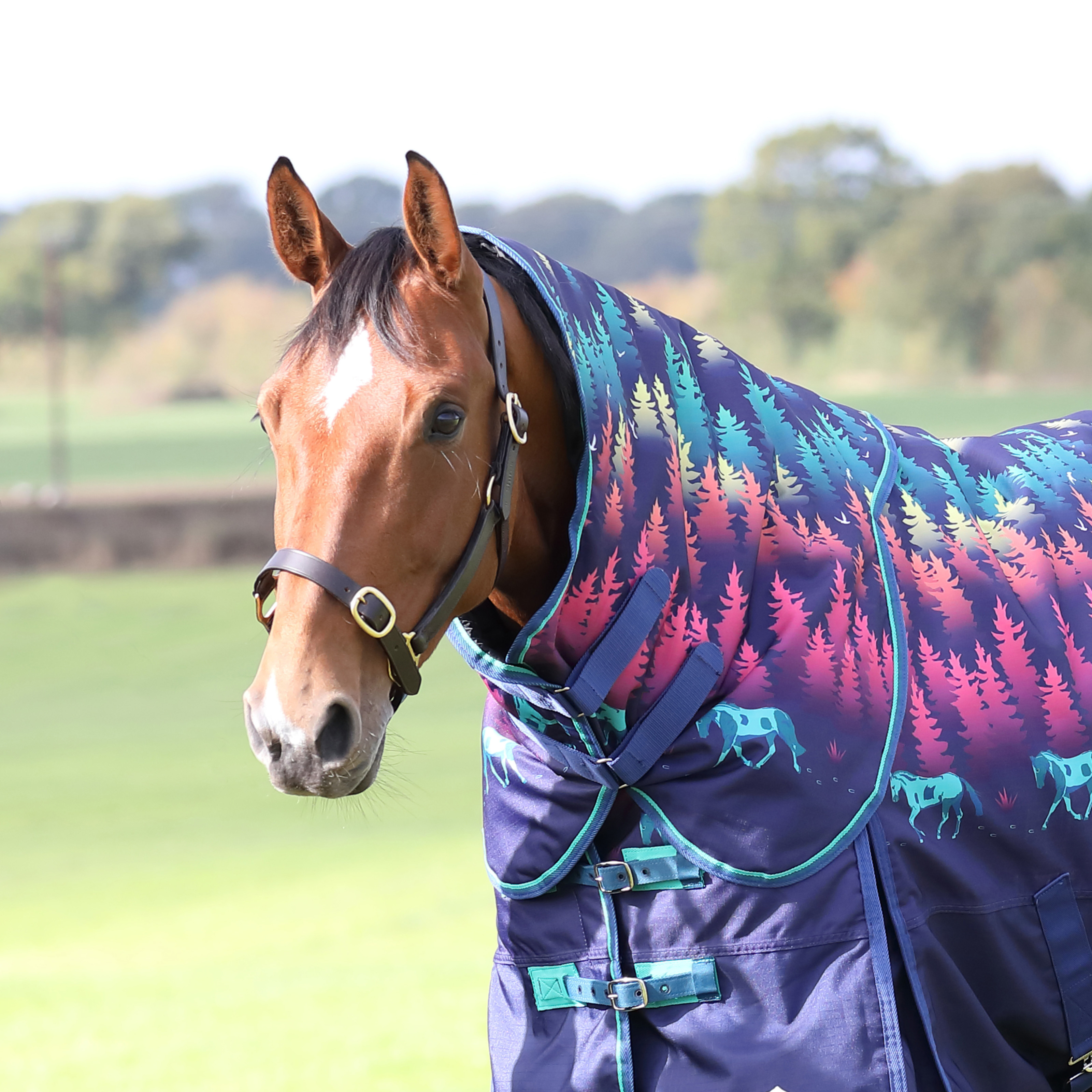 Shires Tempest Original Lite Neck Cover - Navy Forest - Tempest-9330N ...
