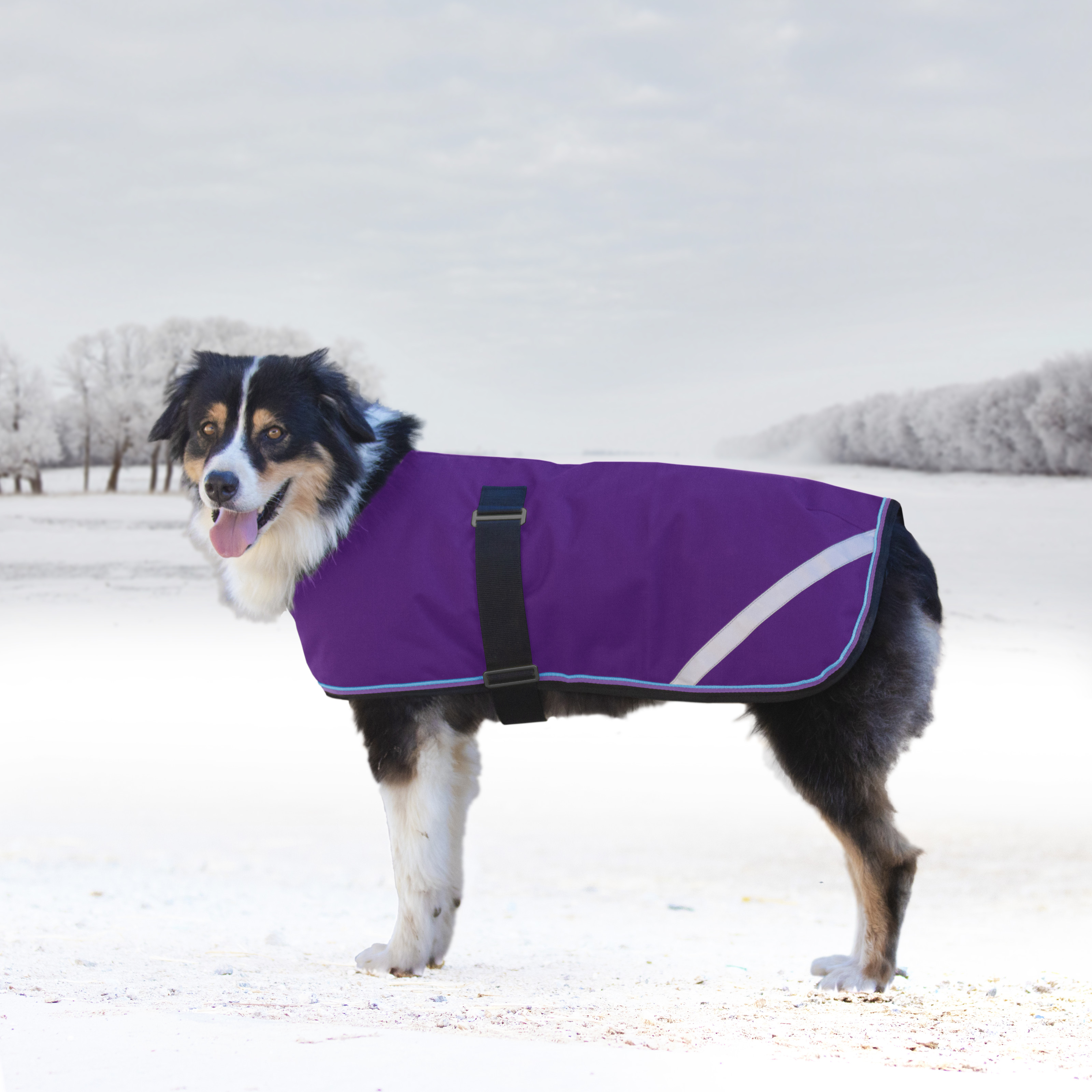 Kensington Signature Dog Coat - Purple - Kensington-2SC-P-Purple - Bit ...