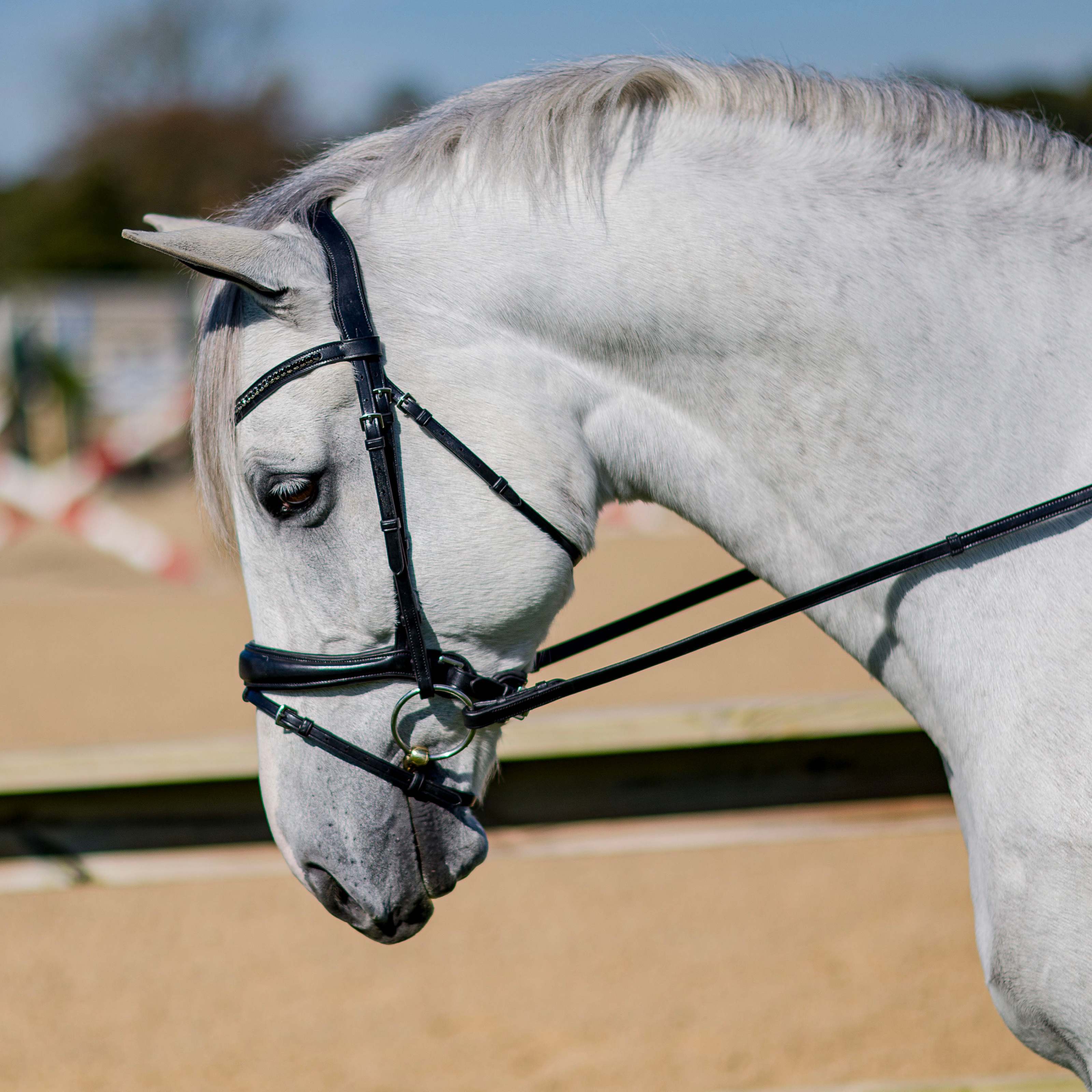 M. Toulouse Elevation Dressage Snaffle Bridle - Black - M. Toulouse ...