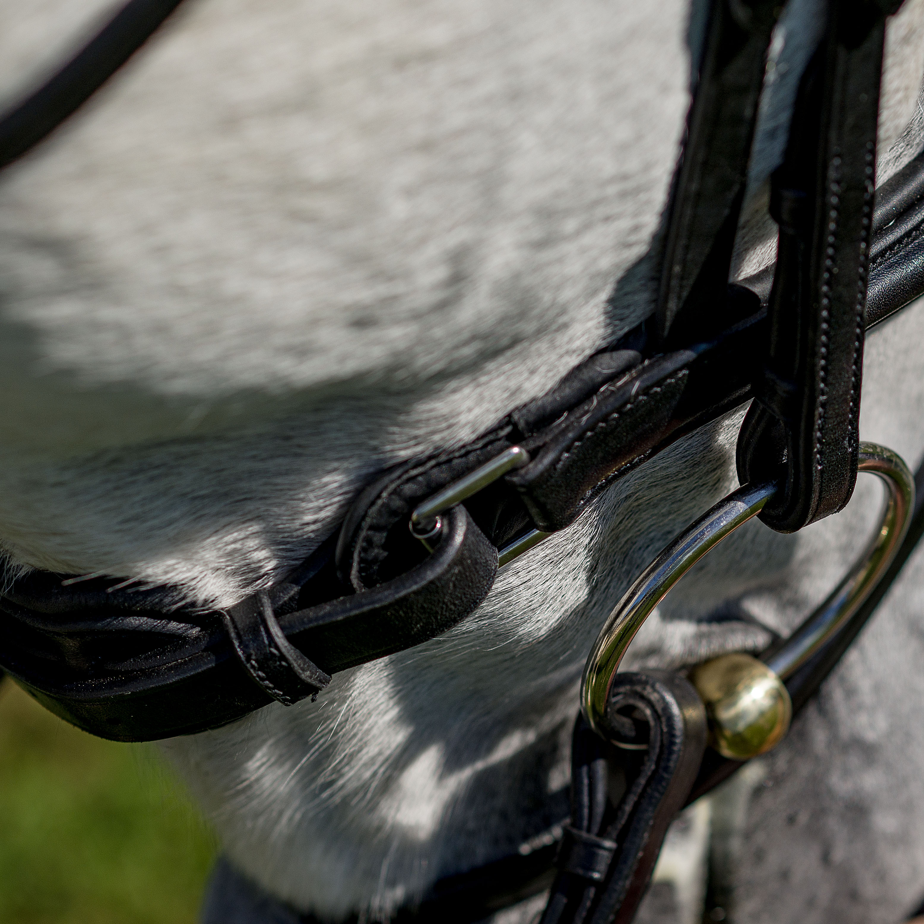 M. Toulouse Elevation Dressage Snaffle Bridle - Black - M. Toulouse ...