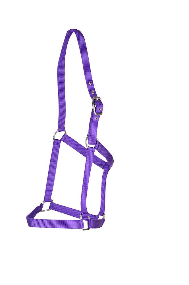 Roma Everyday Headcollar - Purple - Roma-BNX100255-Purple - Bit of Britain