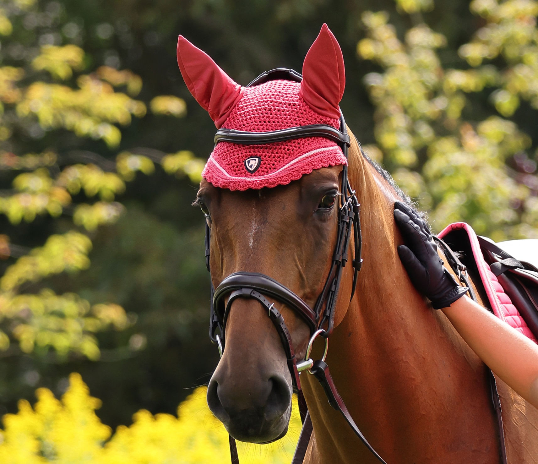 Shires ARMA Ear Bonnet - Coral - ARMA-10148-CORAL - Bit of Britain