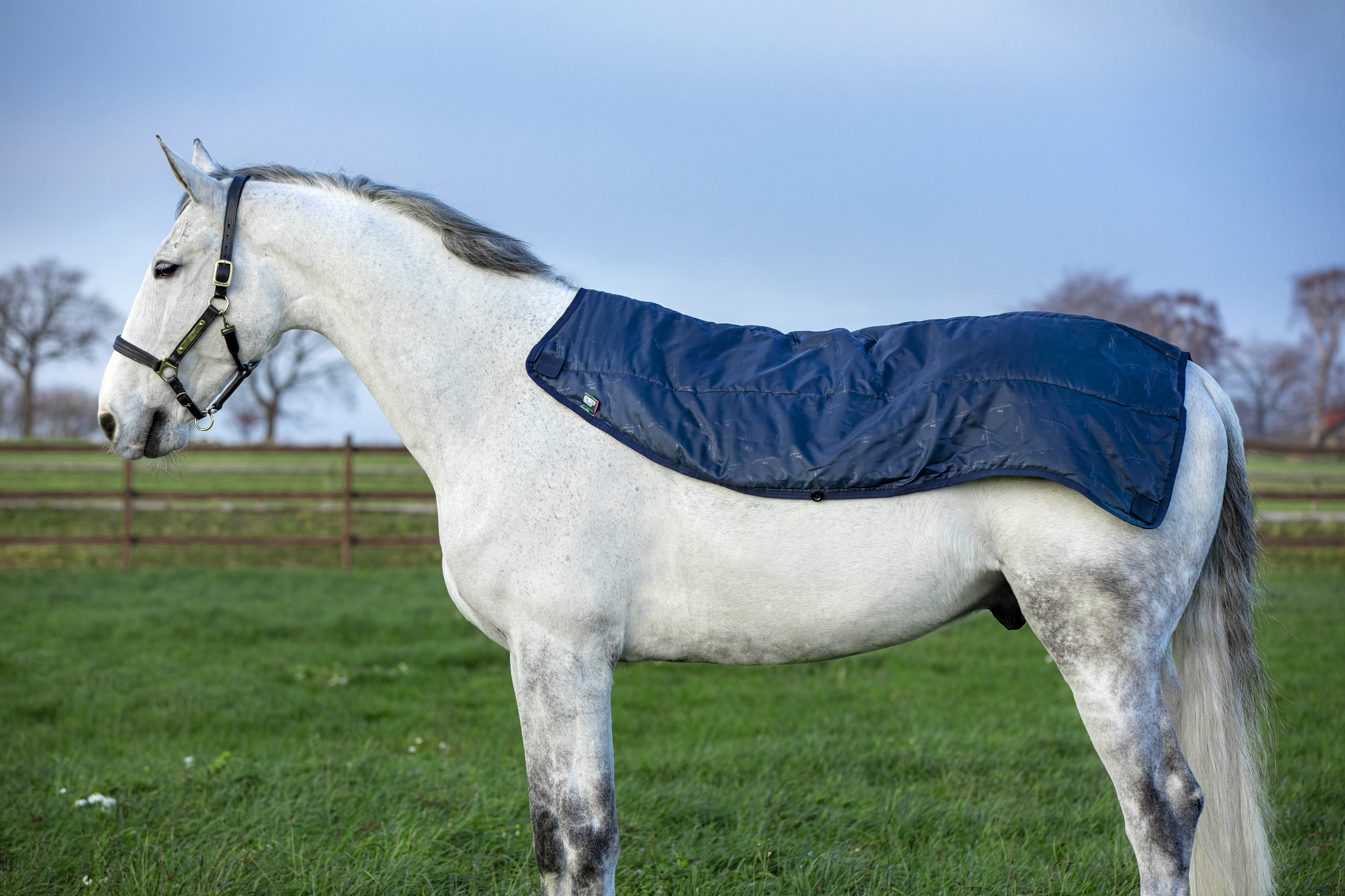 Rambo Summer Series Liner - Navy/Navy - Rambo-ABASMS-BB00 - Bit of Britain