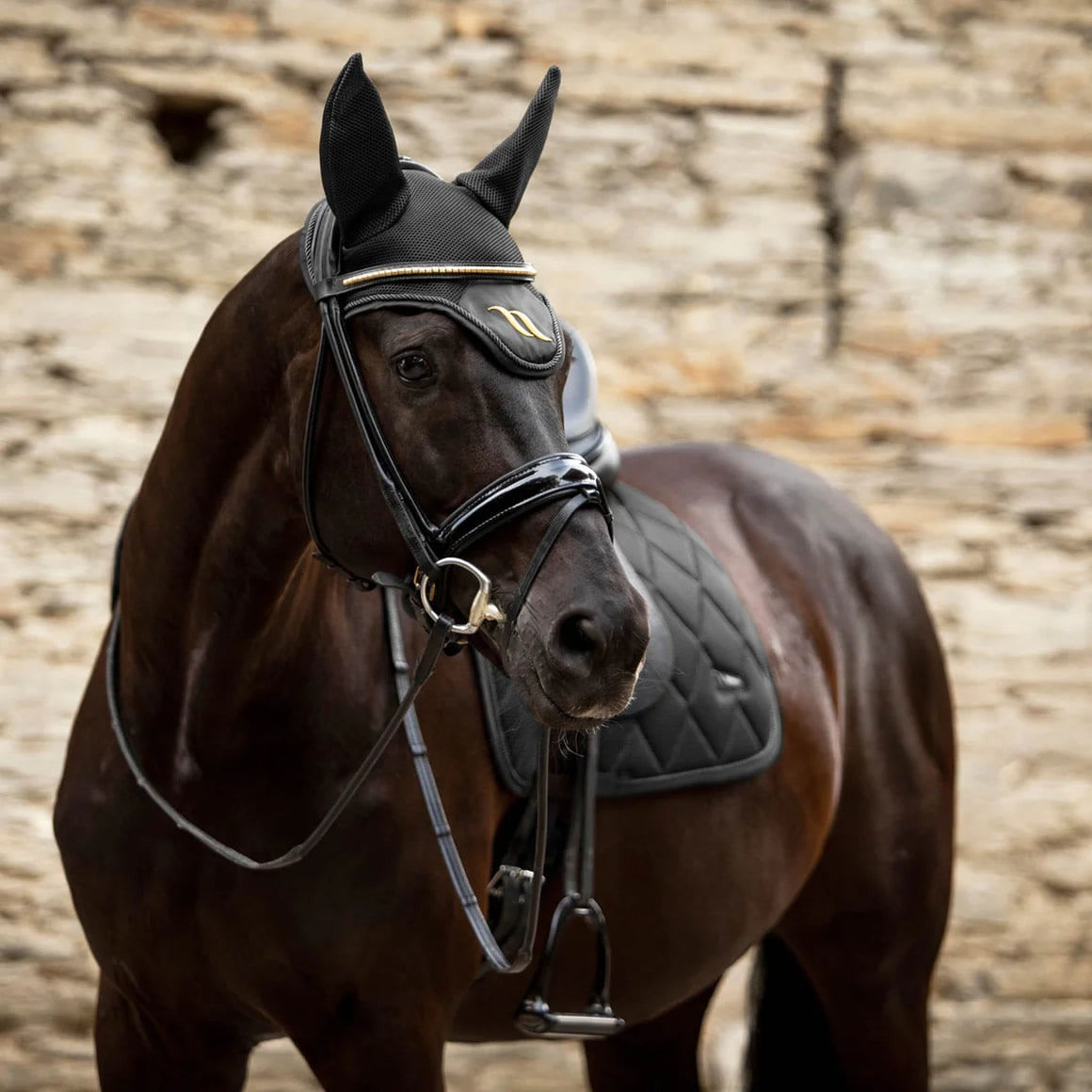Back on Track Airflow Dressage Saddle Pad - Black - Back on Track ...