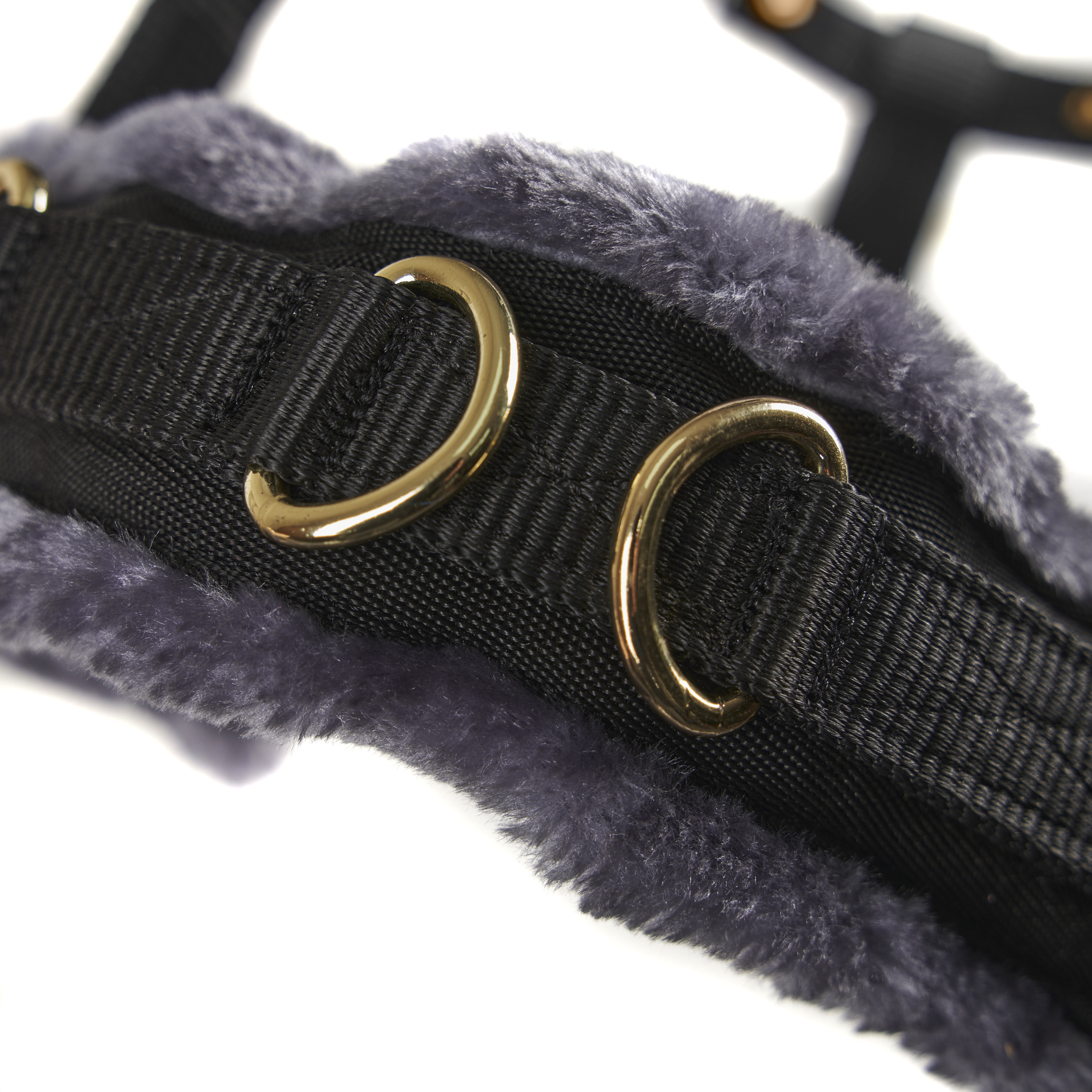 Shires Fleece Lined Lunge Cavesson - Black - Shires-4168-BLK - Bit of ...