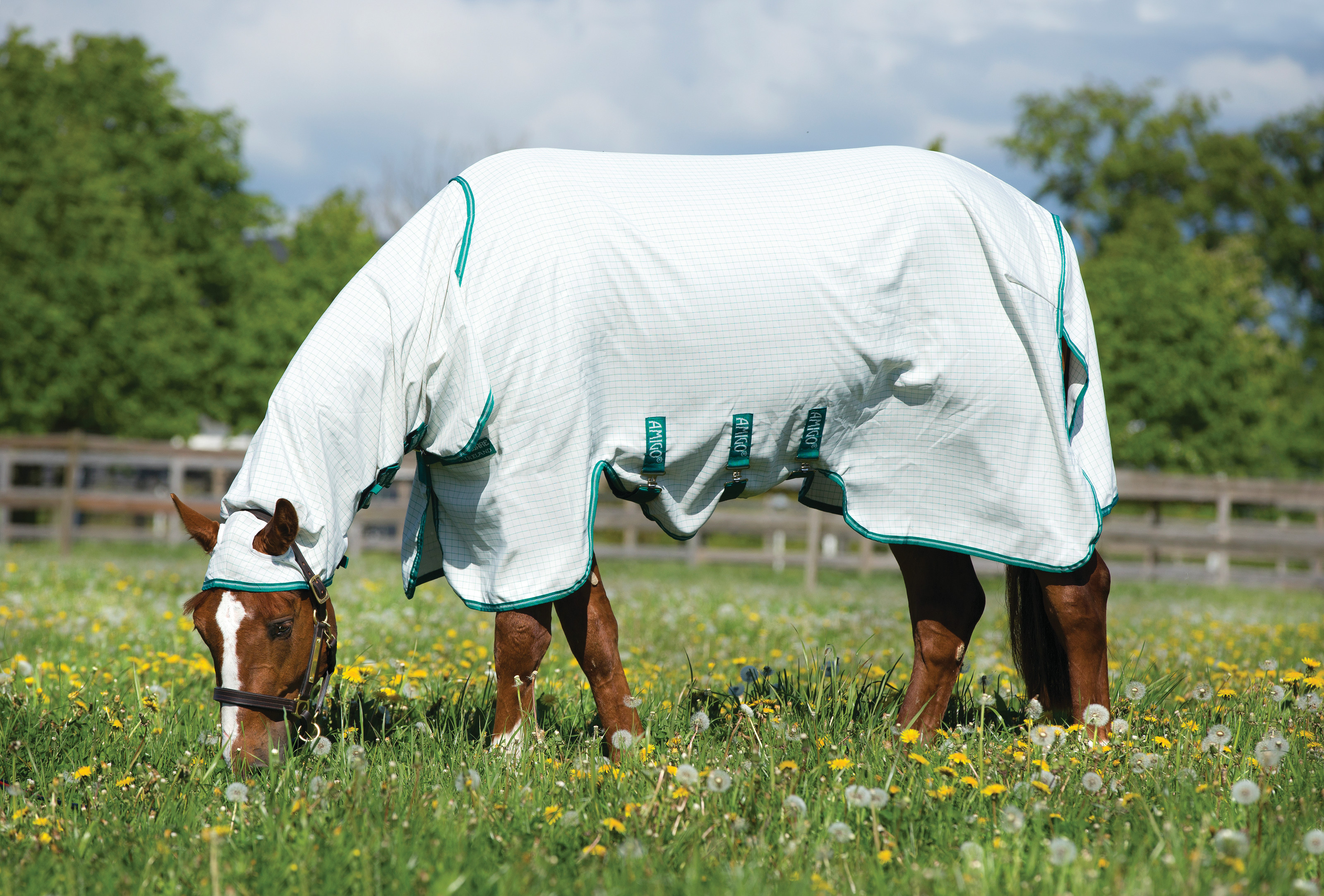 READY TO SHIP: Aussie Full Body Barrier - 66 - White/Green - Bit of Britain