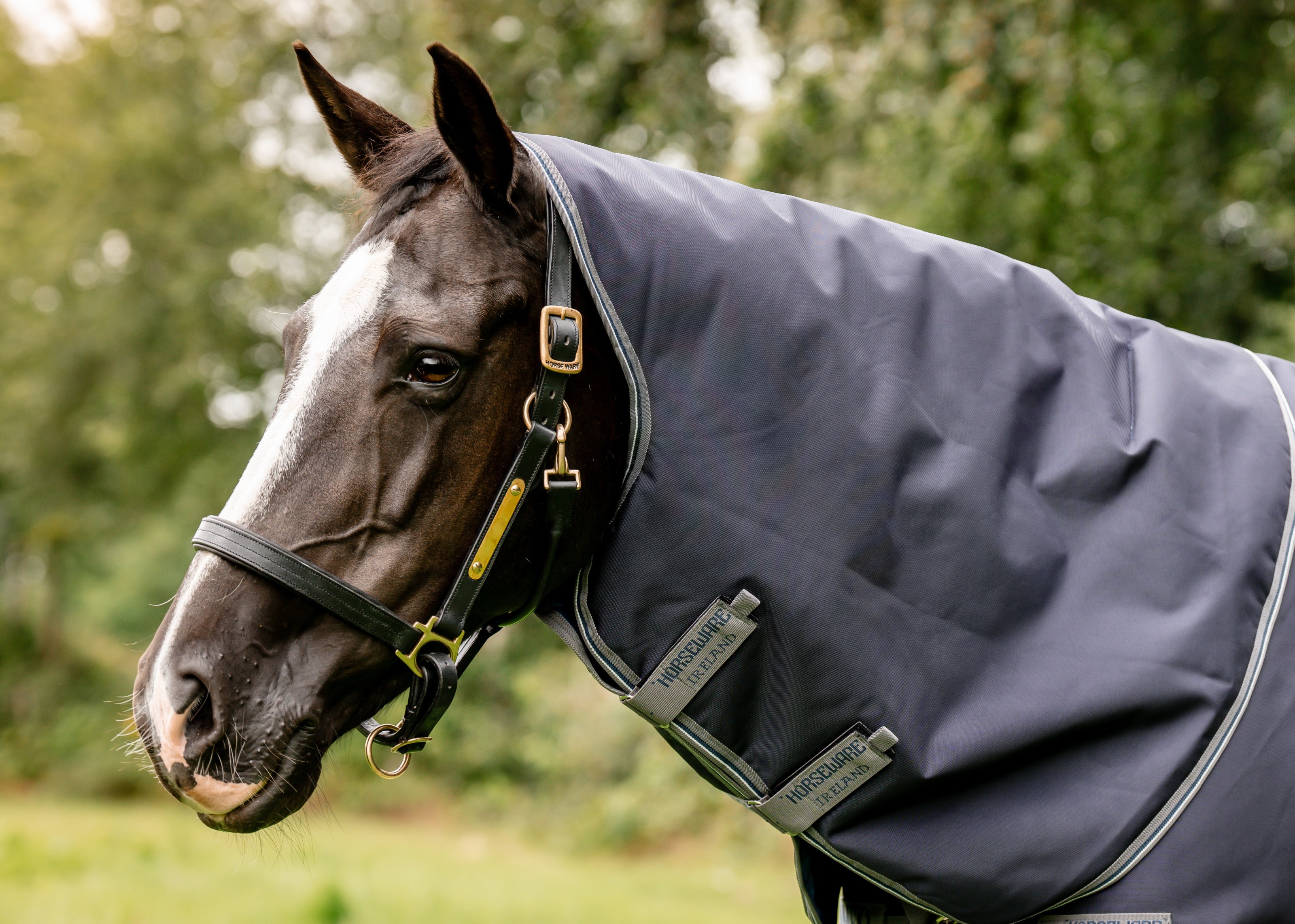 Rambo Optimo Hood Lite 0g - Navy/Thunderstorm Grey/Silver - Rambo ...