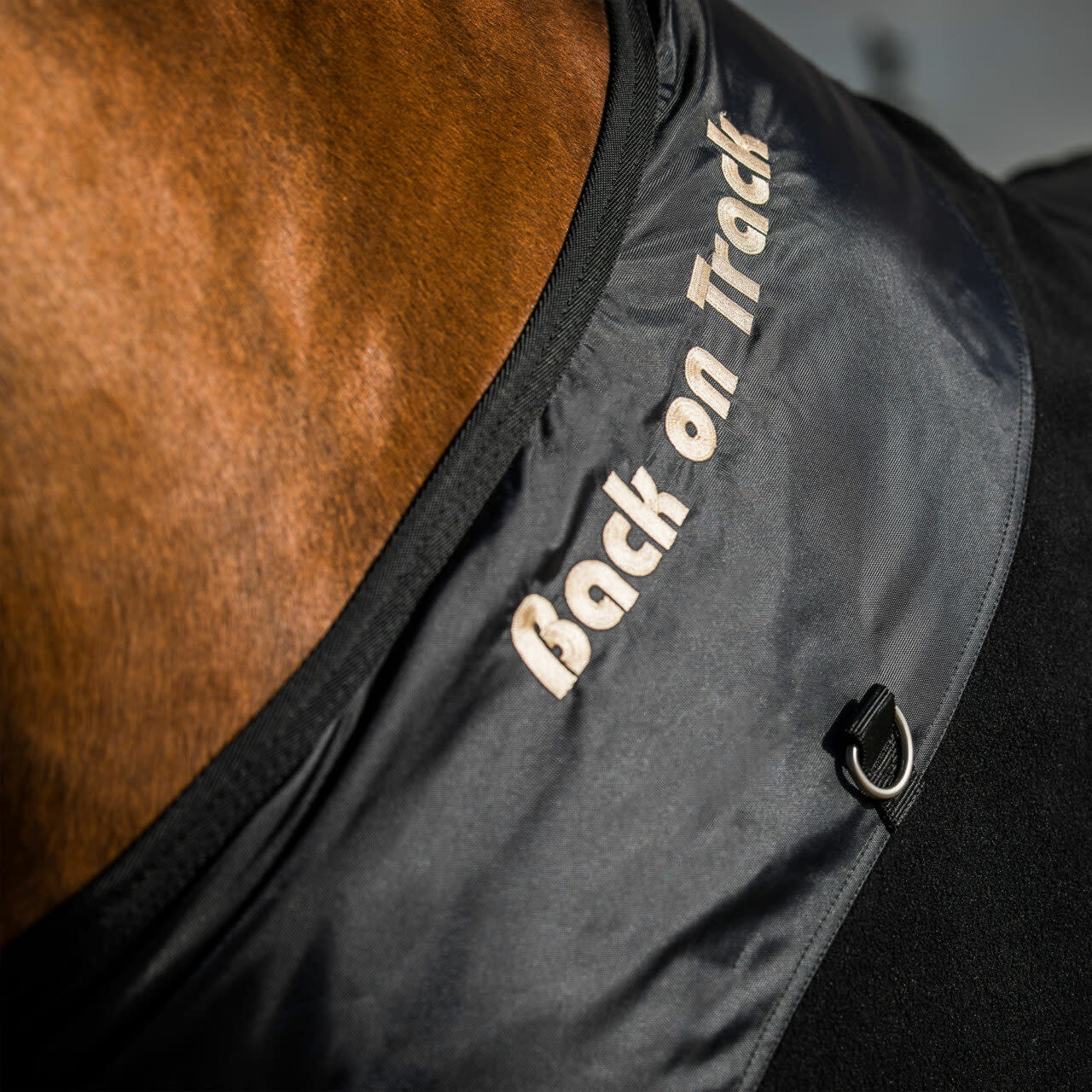 Back on Track Supreme Fleece Blanket w/D-Rings - Black - Back on Track ...