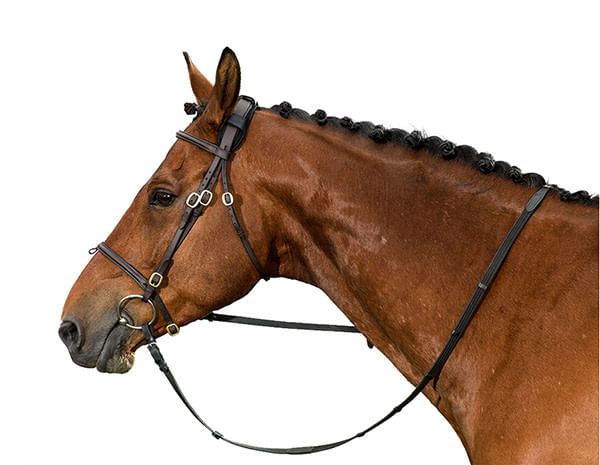 Back on Track Poll Cover w/Straps - Black - Back on Track-BNX102507 ...