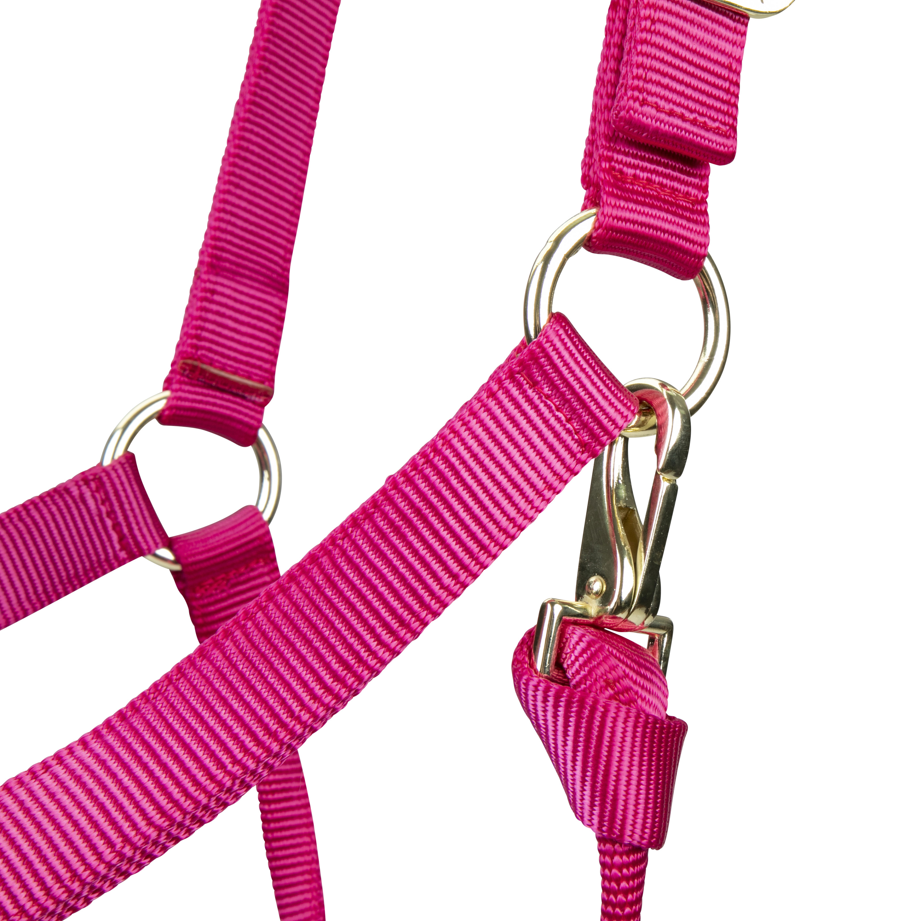 Shires ARMA Adjustable Nylon Halter - Raspberry - ARMA-10574-RASP - Bit of Britain