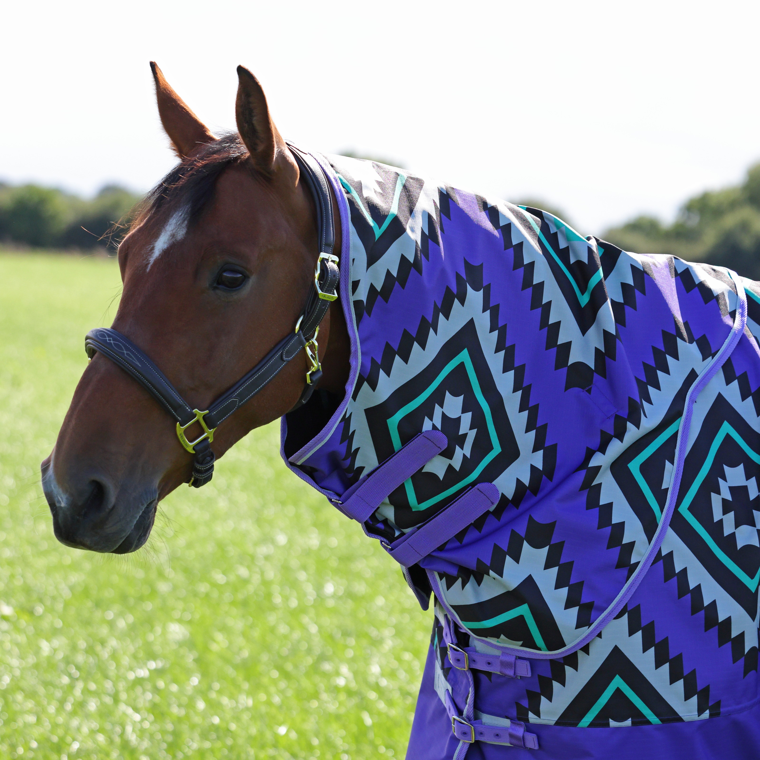 Shires Tempest Original Lite Neck Cover - Purple Aztec - Tempest-9330N ...