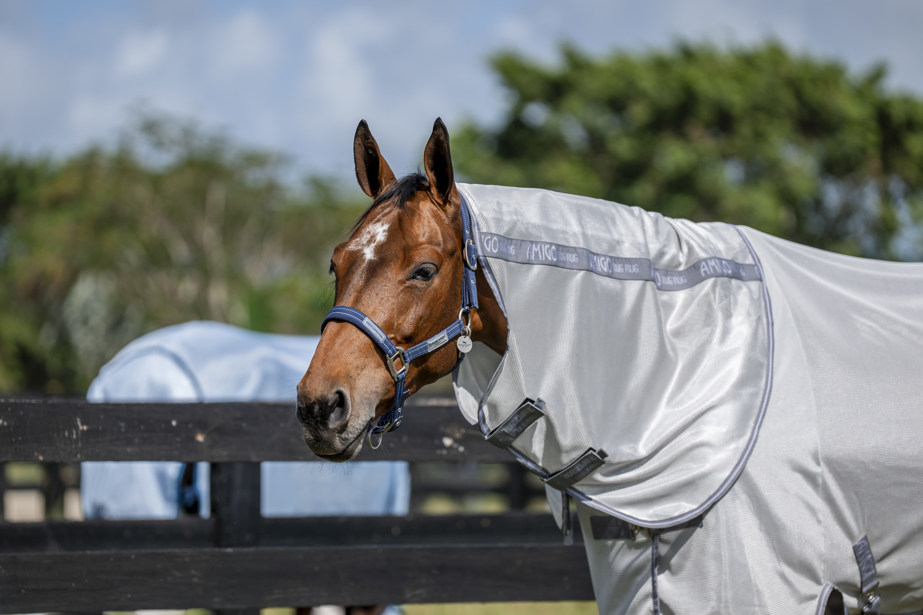 Amigo Bug Rug Hood - Silver/Titanium Grey/Silver - Amigo-AFRNNN-IJI0 ...