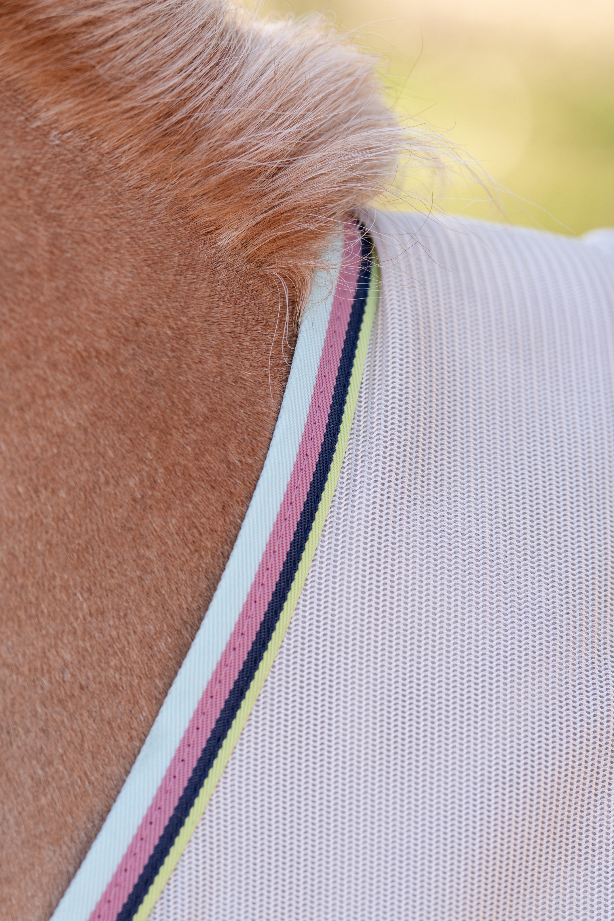 Amigo Petite Bug Rug - Silver/Lime/Navy/Pink/Blue - Amigo-AORB60-LBL0 ...