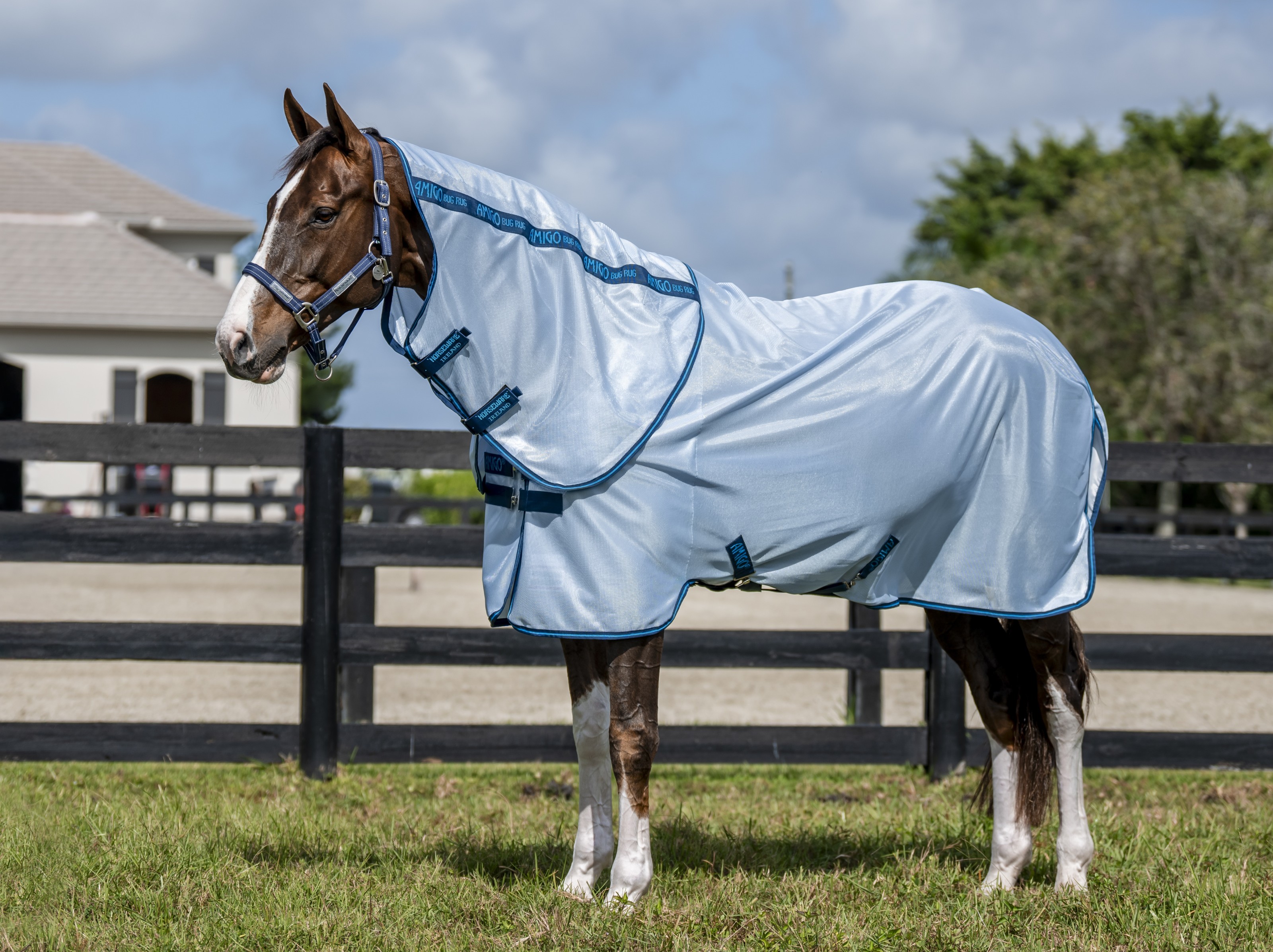 Amigo Bug Rug Plus - Azure Blue/Navy/Electric Blue - Amigo-AFRNGP-CBE0 ...