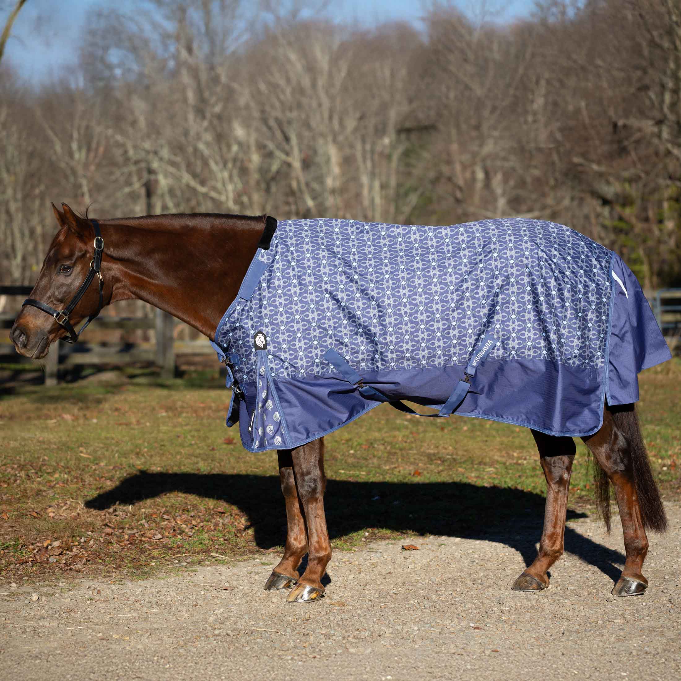 Equinavia Arktis Regular Neck Turnout Sheet - Skipper Blue - Equinavia ...
